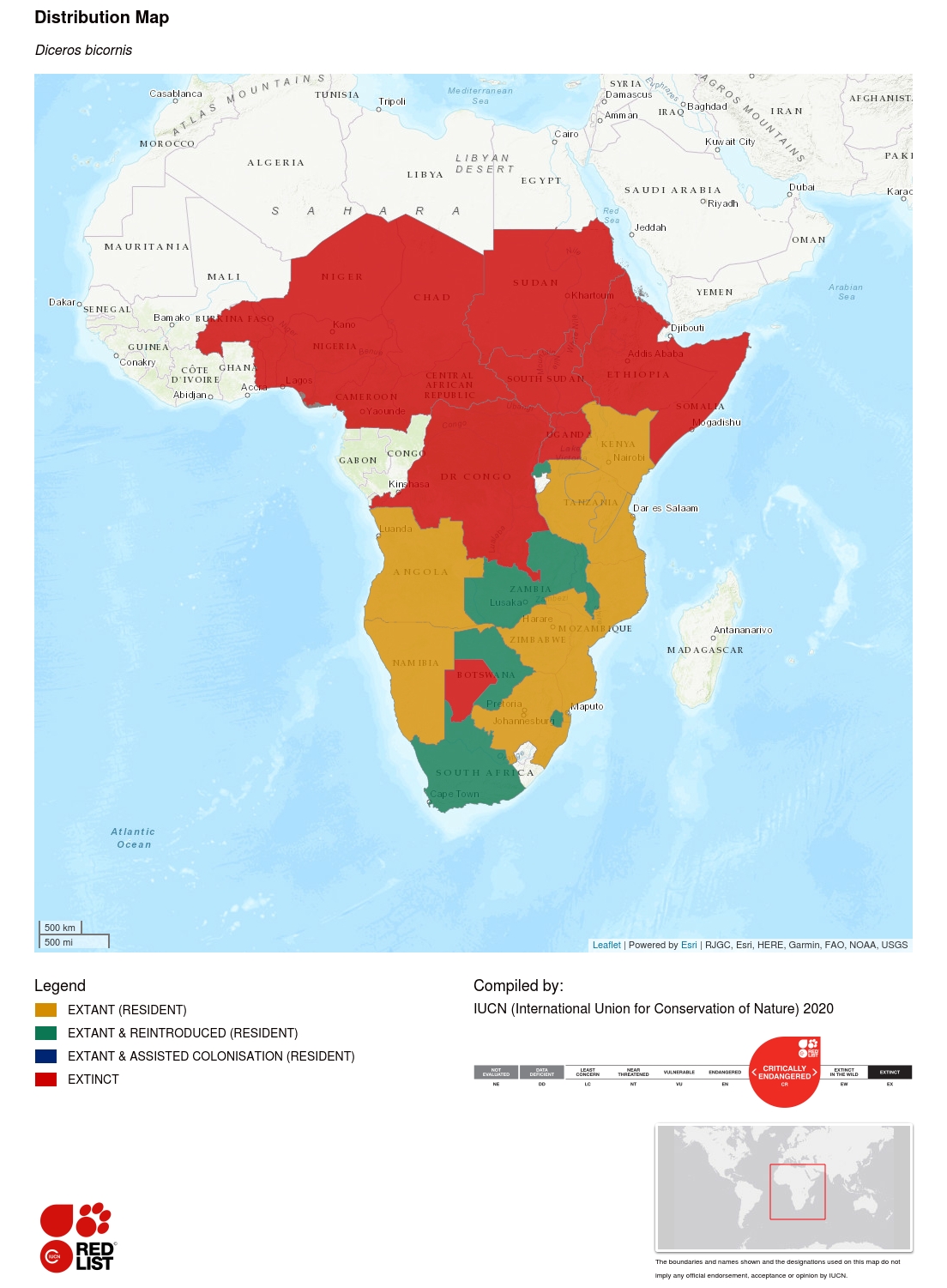 Endangered | African Black Rhino | 5W Foundation